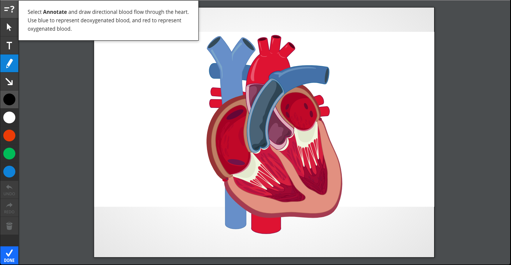 Creating Lt Upload and Annotate Panels | ADInstruments